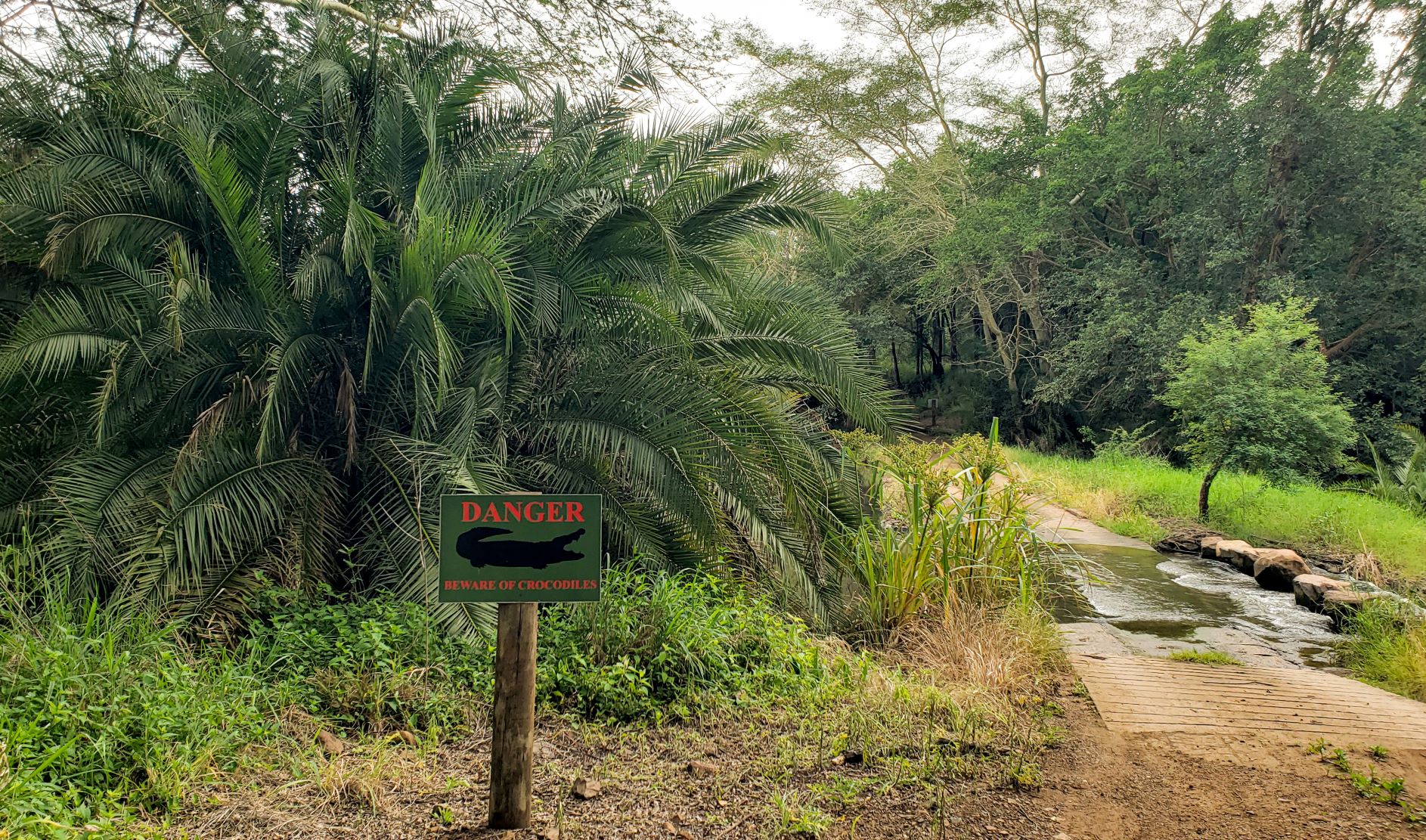 Postcards from Eswatini - A Paradox: Tamera & Richard